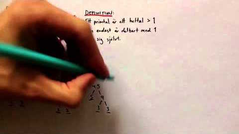 Primtal och primtalsfaktorer - Magnus Ehingers undervisning