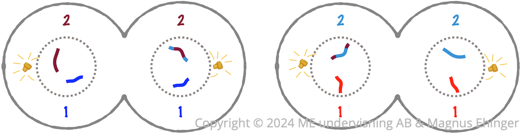 Meios - Magnus Ehingers undervisning