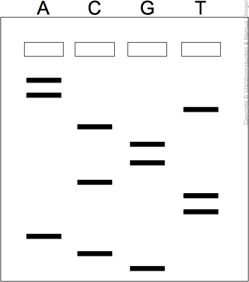 Prov 2004-01-09 i DNA:ts kemi, syntes och funktion - Magnus Ehingers ...