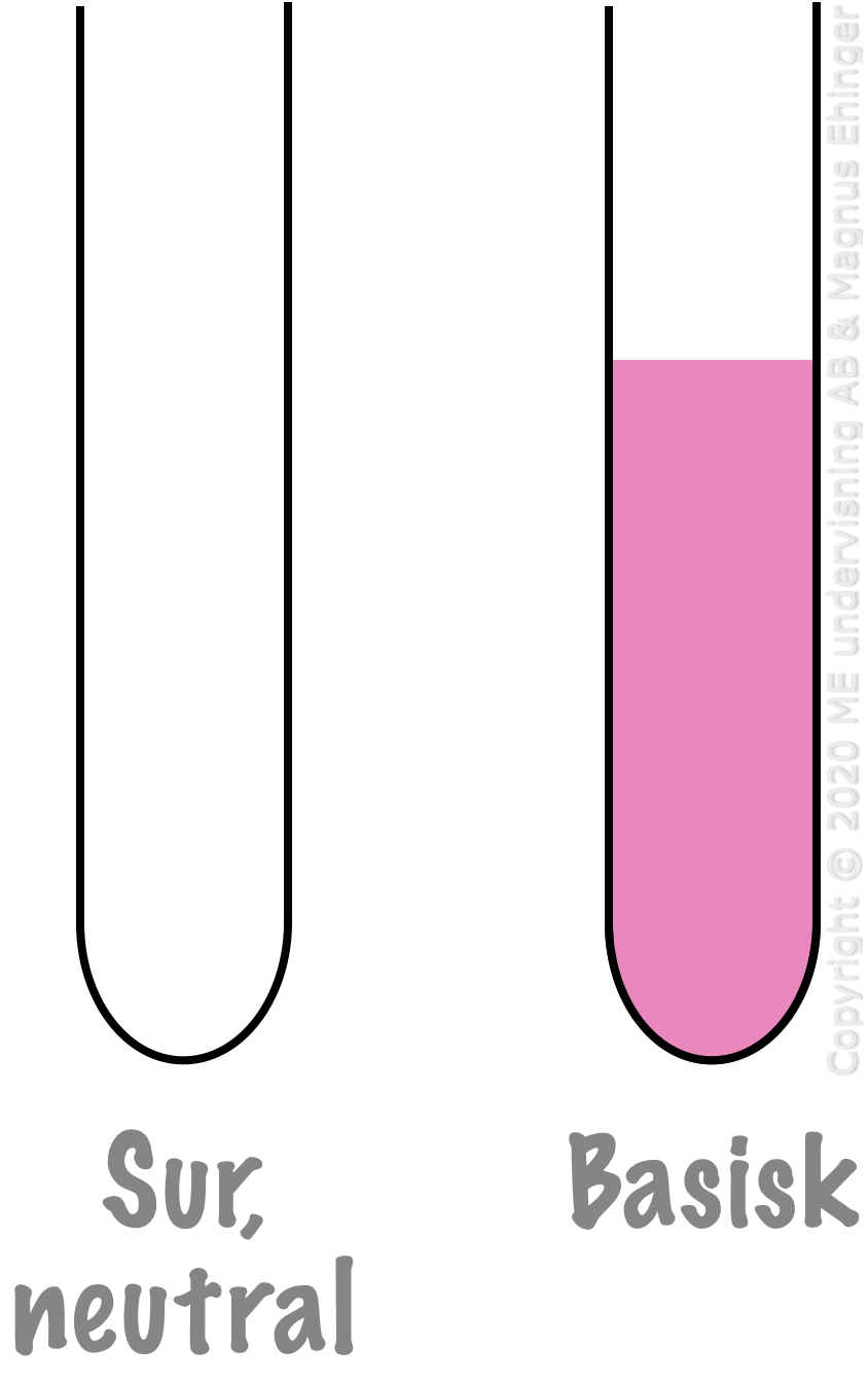 Syror - Magnus Ehingers undervisning