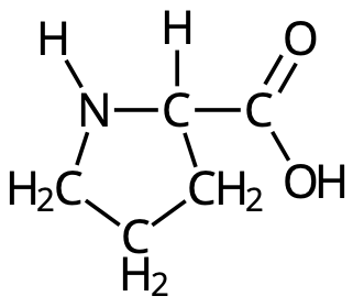 De 20 aminosyrorna - Magnus Ehingers undervisning